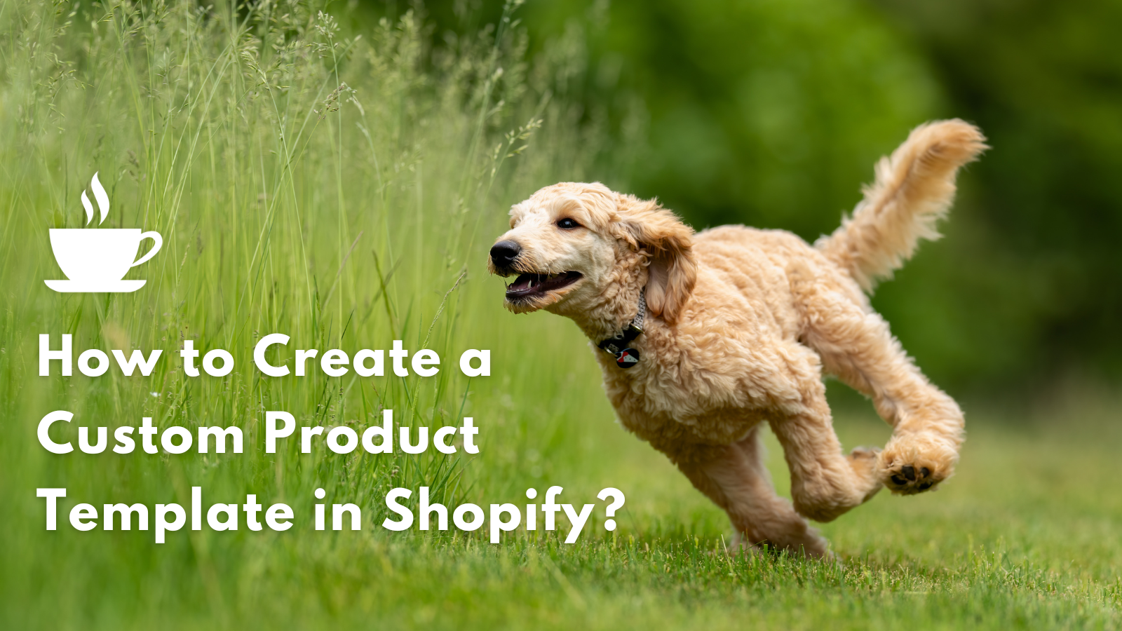 How to Create a Custom Product Template in Shopify? How to Create a Custom Product Template in Shopify?